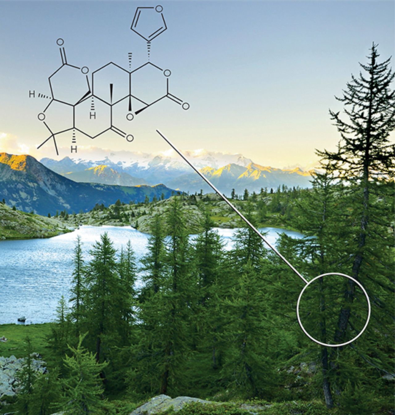 ONA Online | neutralizes odors, naturally